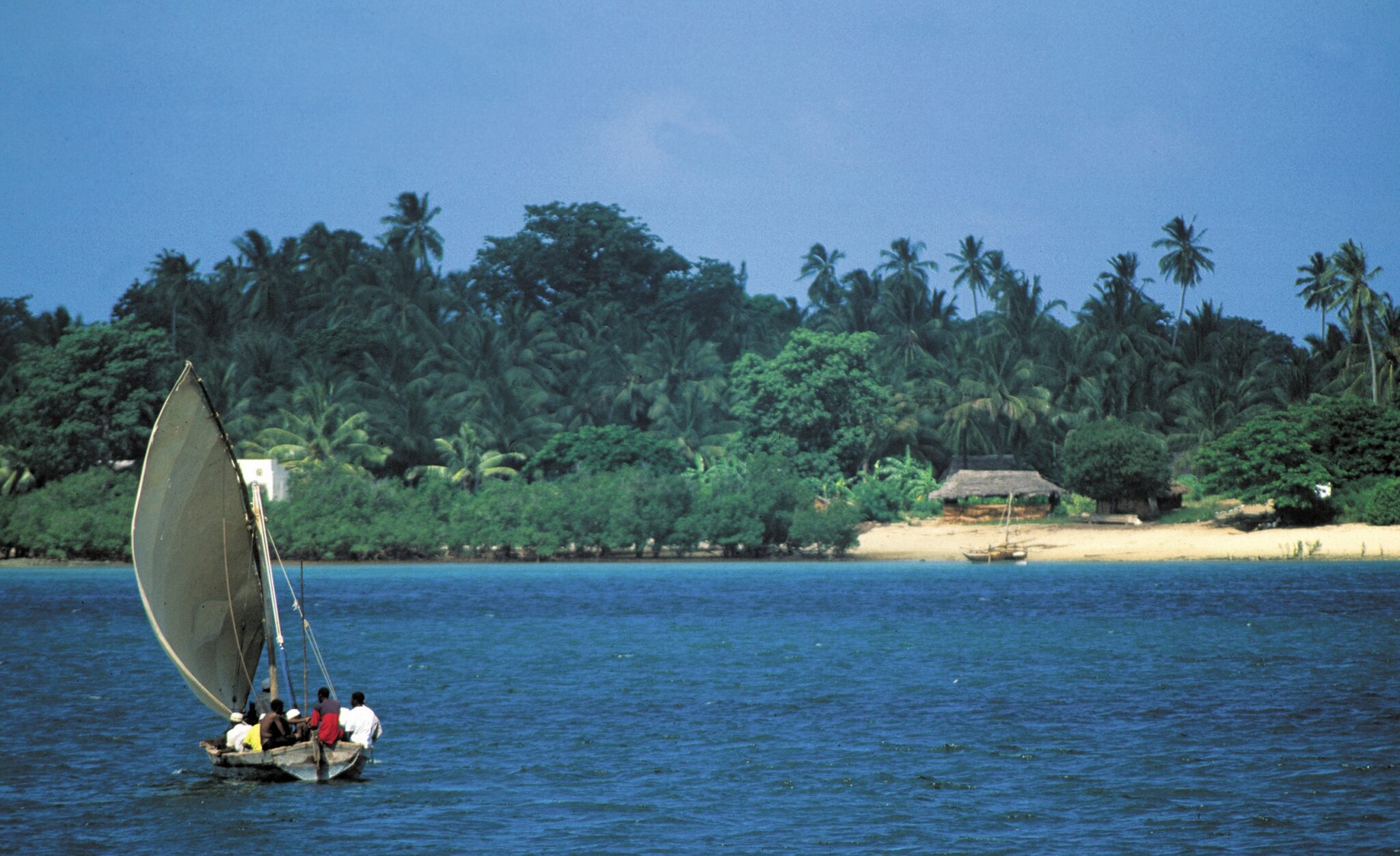 A Traveler’s Guide to Mafia Island’s Historic and Cultural Villages ...